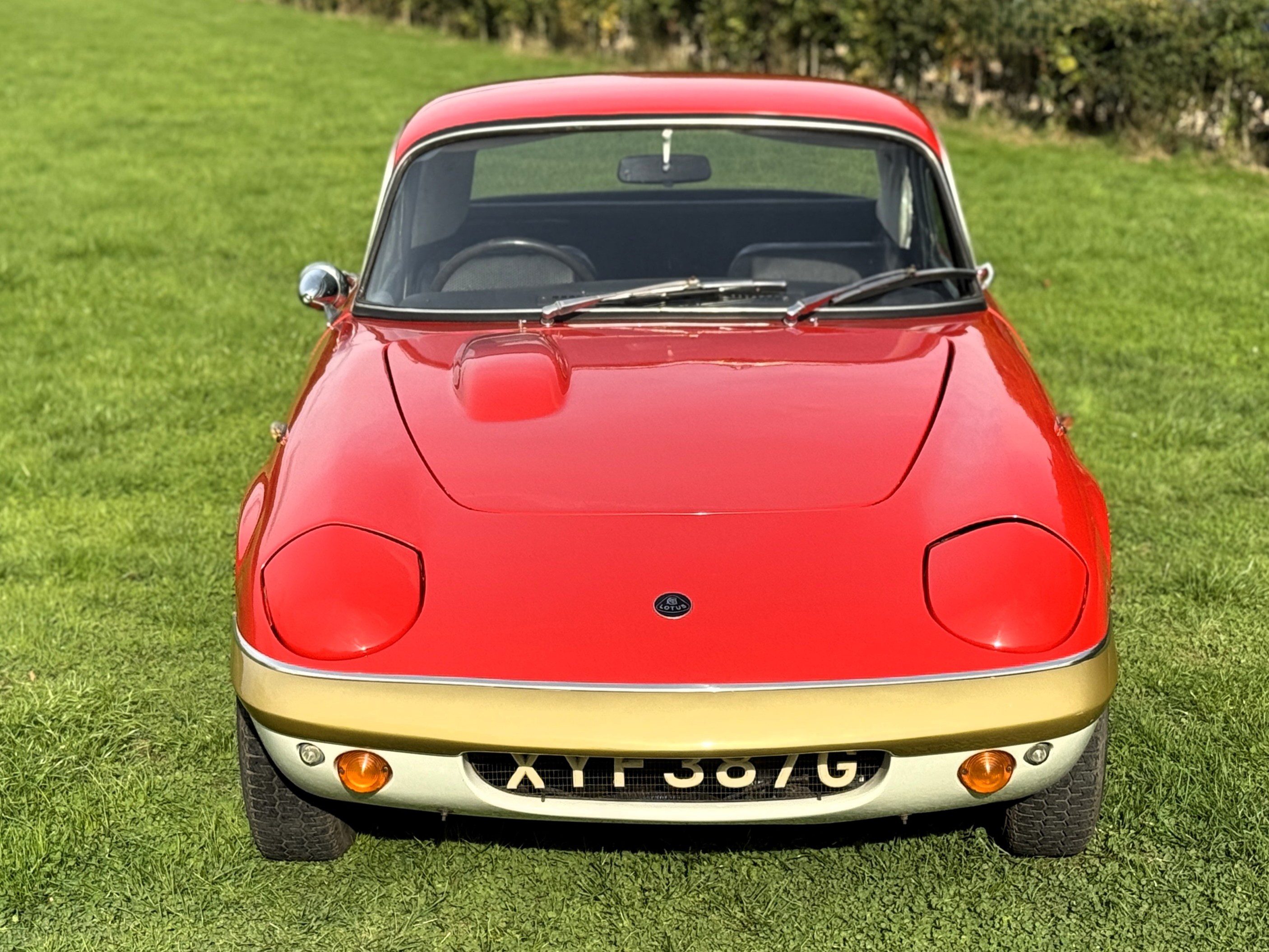 classic Lotus for sale